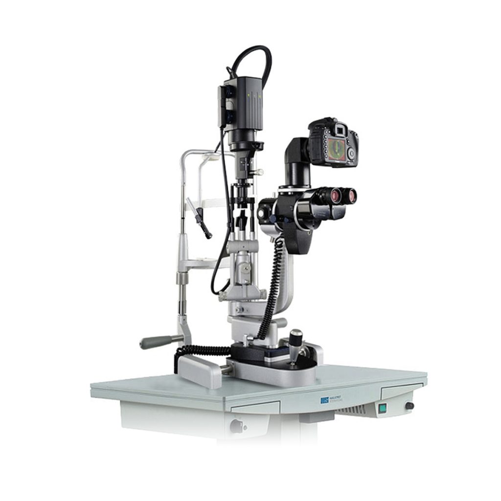 Viewlight Hand Held Slit Lamp P-SL1 - Ophthalmic Products