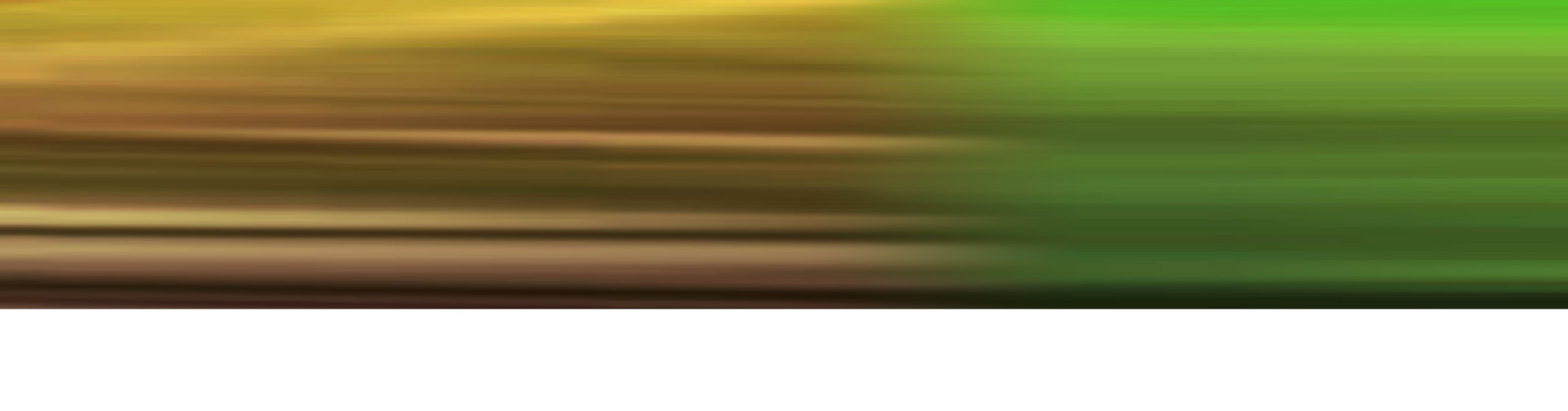 Viewlight USA - Ophthalmic Products and Innovative Technology