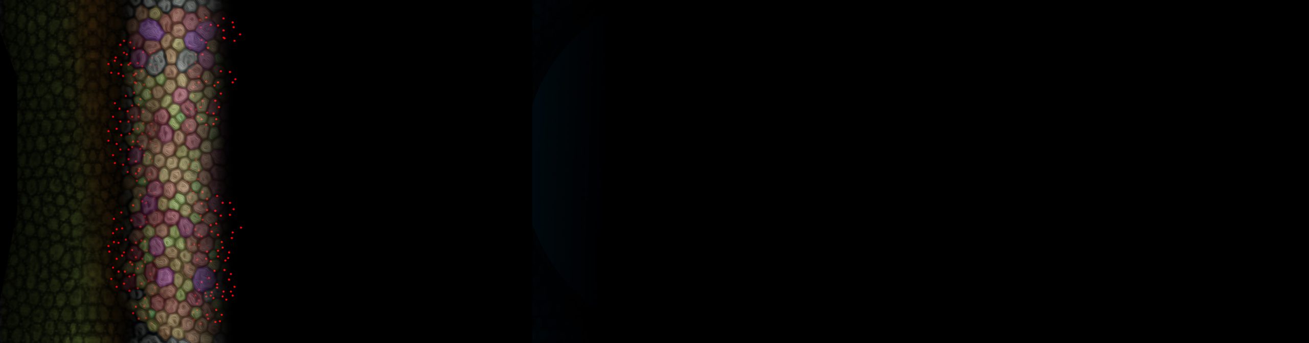 Viewlight USA - Ophthalmic Products and Innovative Technology